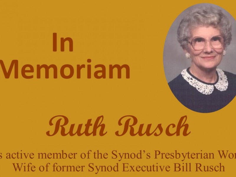 Synod of the Trinity